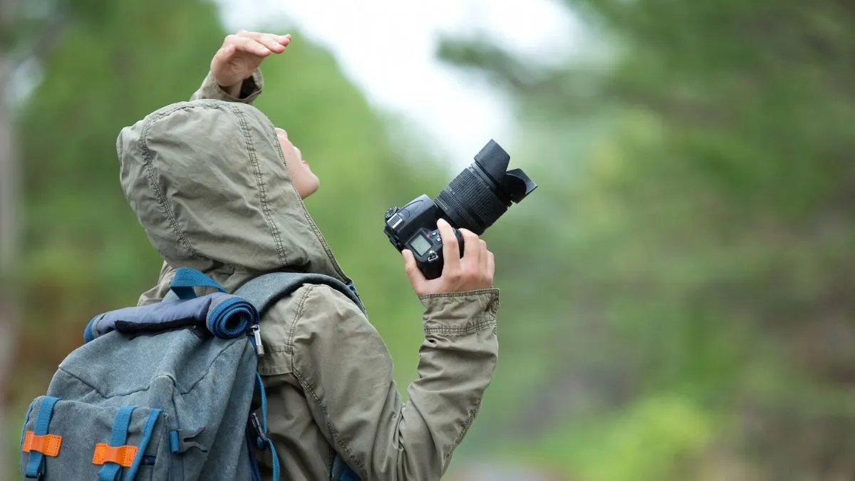 Best-Rated DSLR Cameras For Bird Watching: Capturing Unintended Moments